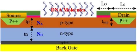 Figure 4 From Novel Field Effect Transistor Sensor For Dna Storage