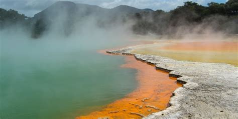 The Thermal Shift Assay A Powerful Tool To Analyze Proteins