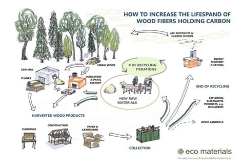 The Path To Circularity And Sustainability Tommy Walvåg
