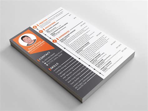 Free Assistant Director Resume Template For Job Seeker