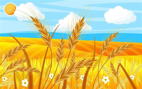 Crop Field Vector Art Icons And Graphics For Free Download