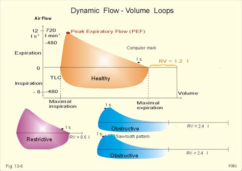 Pulmonary Function