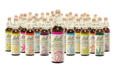 Minceur 5 Fleurs De Bach Qui Vont Vous Aider à Ne Pas Flancher Top