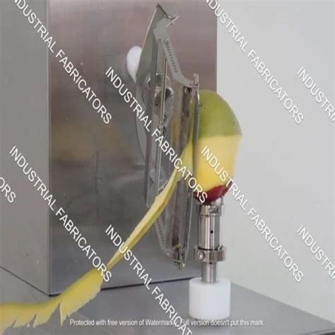 Mango Peeling Machine Capacity 100 Kghr At ₹ 550000piece In Vapi Id 2850837256188