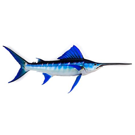 Download Marlin C