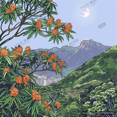 Ai创作图荔枝树插画 手绘荔枝广场 芒果采摘园插画 黄皮树插画 手绘荔枝树 国潮枇杷树 采春砂仁插画 夹竹桃包装插画 荔枝广场插画 手绘芒果树 芒果园素材 横琴手绘插画 手绘枇杷树 鸡蛋花树木