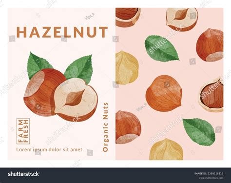 Hazelnut Packaging Design Templates Watercolour Style Stock Vector Royalty Free 2398118313