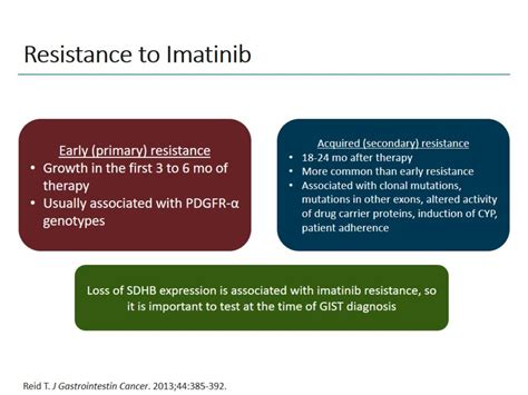 Optimizing Outcomes In The Management Of GIST Ppt Download
