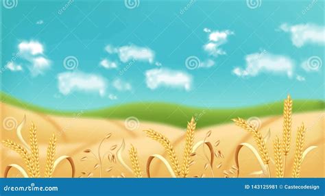 Oat Fields Vector Realistic Background Summer Season Growing Oats