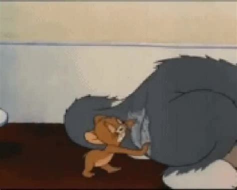 Porno Tomandjerry Coub