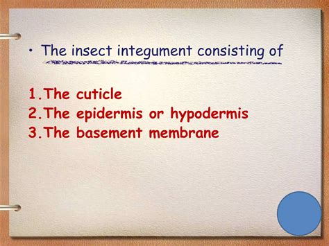 Insect Integument Ppt