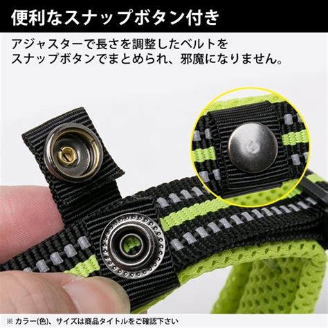 Truelove 犬 首輪 小型犬 散歩 お出かけ おしゃれ Lサイズ 幅2cm 長さ45 50cm ナイロン ソフトパッド 3m反射素材