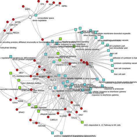 String Analysis Shows That Degs Are Involved In Known And Predicted