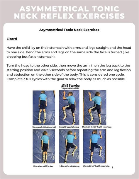 Primitive Reflex Evaluation Testing And Treatment Guide Etsy