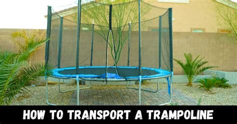 7 Best Mini Trampolines For Seniors | Review & Guide [2023]