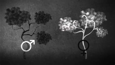 Secret Sex Lives Of Trees Youtube
