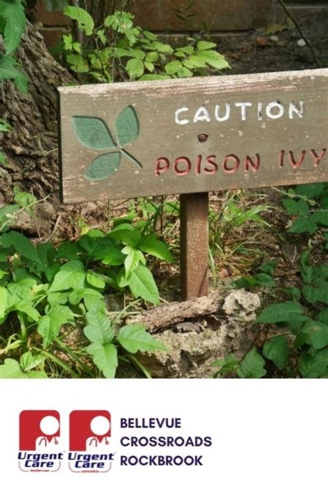 Hiking Plans Poison Ivy Ivy Poison