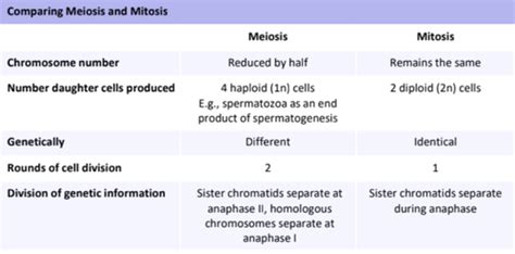 Biology Cell Division Flashcards Quizlet
