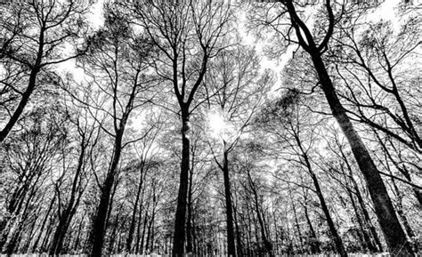 Aswang Legend The Story Of Teniente Gimo Philippine Tales