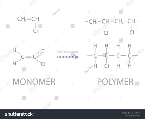Polymerization Molecular Skeletal Chemical Formula Vector Stock Vector