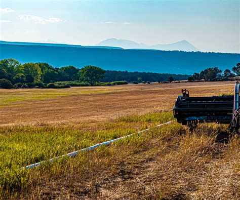 Cedaredge Colorado Land For Sale 21 Acres With Water Rights Western Land And Lifestyle Properties