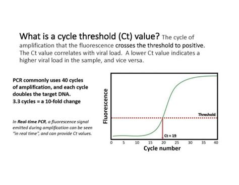 Your Complete Guide To Pcr Pcr Test And Rt Pcr Ct Value Results Cleadoc