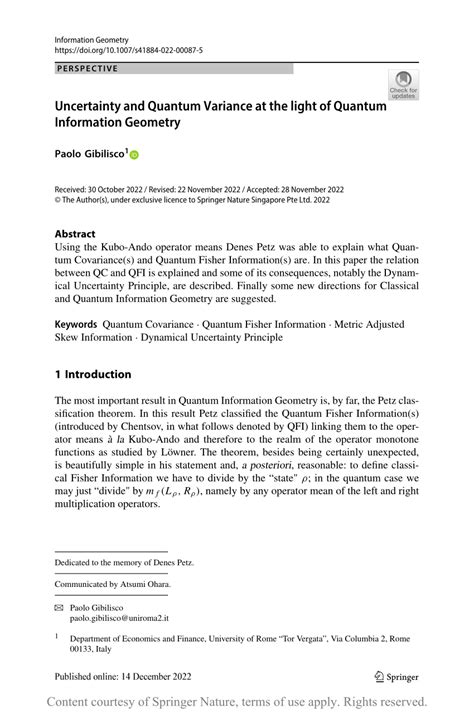 Uncertainty And Quantum Variance At The Light Of Quantum Information