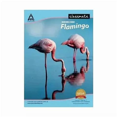 Classmate Notebook 297x21 Cm Long Size A4 Pack Of 6 At Rs 80 In Noida