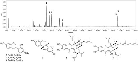 Chromatographic Profile Of Brazilian Red Propolis Extract And Chemical
