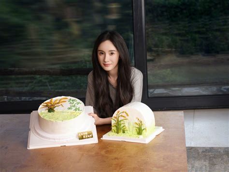 杨幂绿苑马来西亚分会 Yang Mi Malaysia 杨幂绿苑马来西亚分会 Yang Mi Malaysia