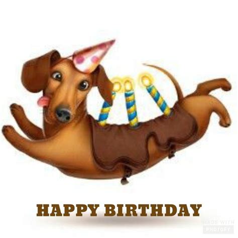Weiner Dog Birthday Wishes Newborn Wishes Greetings