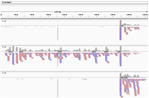 Locking Y Axis With PlotBed Issue PhanstielLab Sushi GitHub