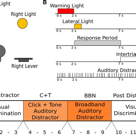 Selective Attention Task A Schematic Illustration Of The Front Panel Download Scientific