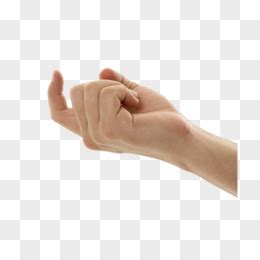 手掌图片素材免费手掌png设计图片大全第8页图精灵