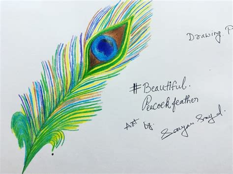How To Draw Colourful Peacock Feather With The Help Of Only Color