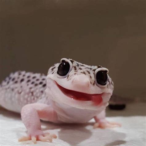 Aaaaah Sooo Cute I Cant Raww