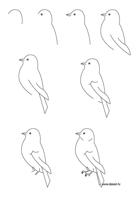 How To Draw A Bird Step By Step Click To Enlarge Then Shrink To Fit