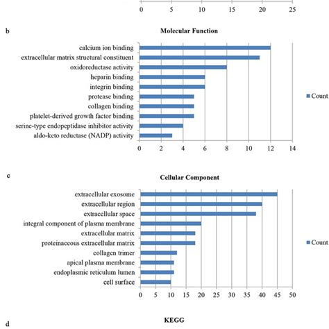 Gene Ontology And Deg Pathway Enrichment Analysis In Gc A Biological