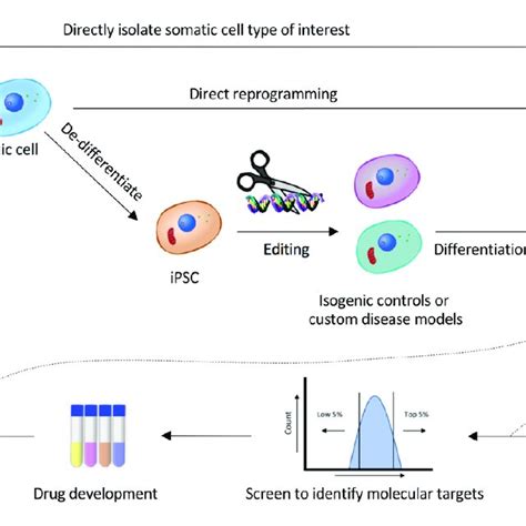 Functional Genomic Tools Contribute To Robust Disease Modeling For Drug
