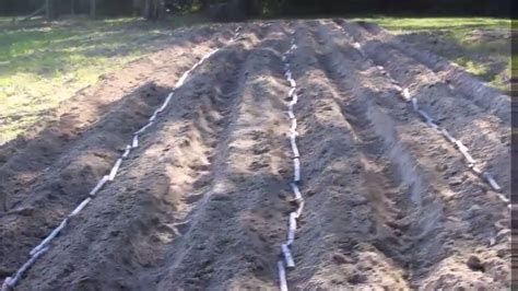 Sugarcane Planting Methods