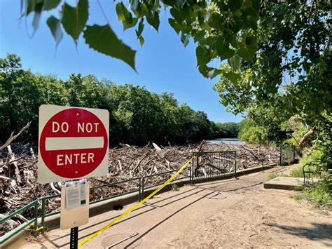 City Taking Bids To Remove Log Jam