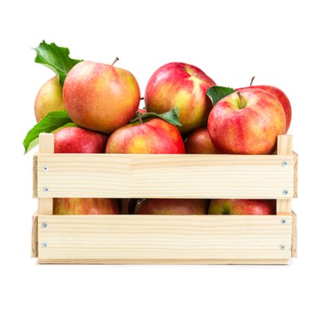 Order Fresh Gala Apple And Delivery In 8 Hours