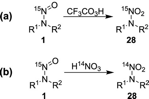 An Organic Chemists Guide To N Nitrosamines Their Structure