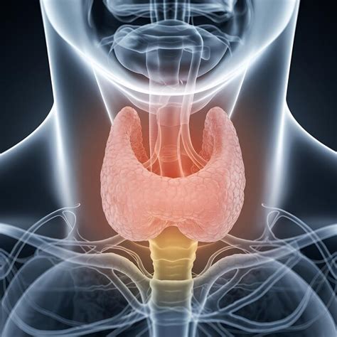Ai Generated Thyroid Health Medical Images Premium Ai Generated Image