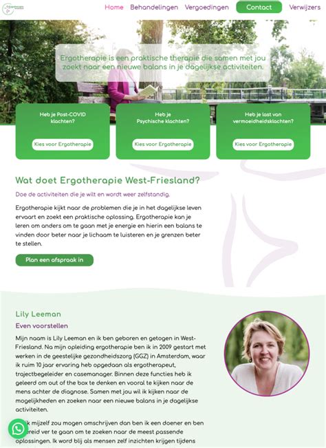 Ergotherapie West Friesland Webdesign Snel Een Webdesigner Boost