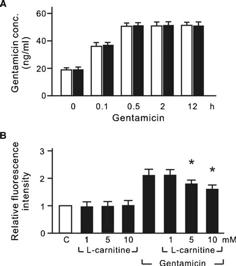 Effects Of L Carnitine On The Gentamicin Uptake And Ros Generation In