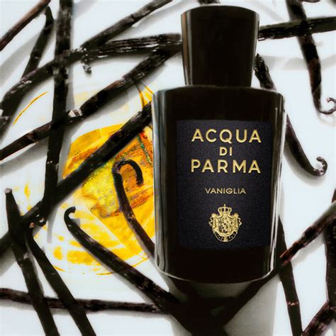 9 Curiosidades Que No Te Esperas Sobre La Vainilla En Perfumería