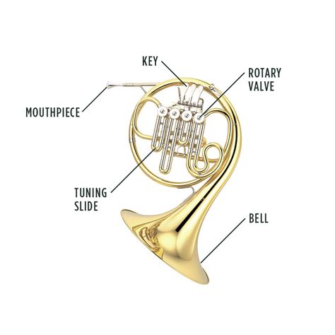 About Instruments Russo Music Symphonic