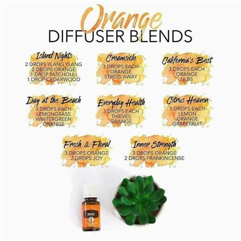 Orange Diffuser Blends Young Living Essential Oils Member Number