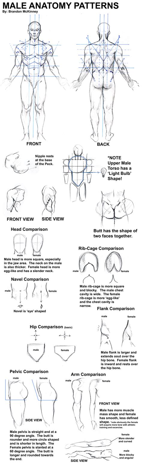 tutorial time e hentai forums